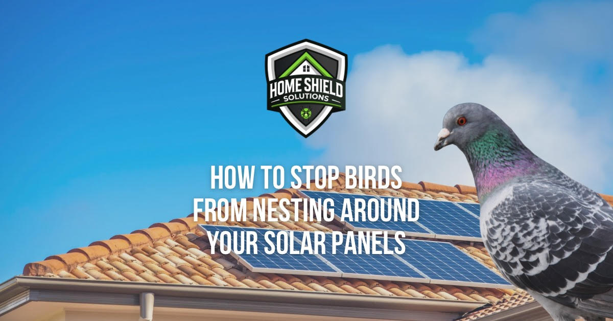 How to Prevent Birds from Nesting Under Solar Panels | Pest Shield ...